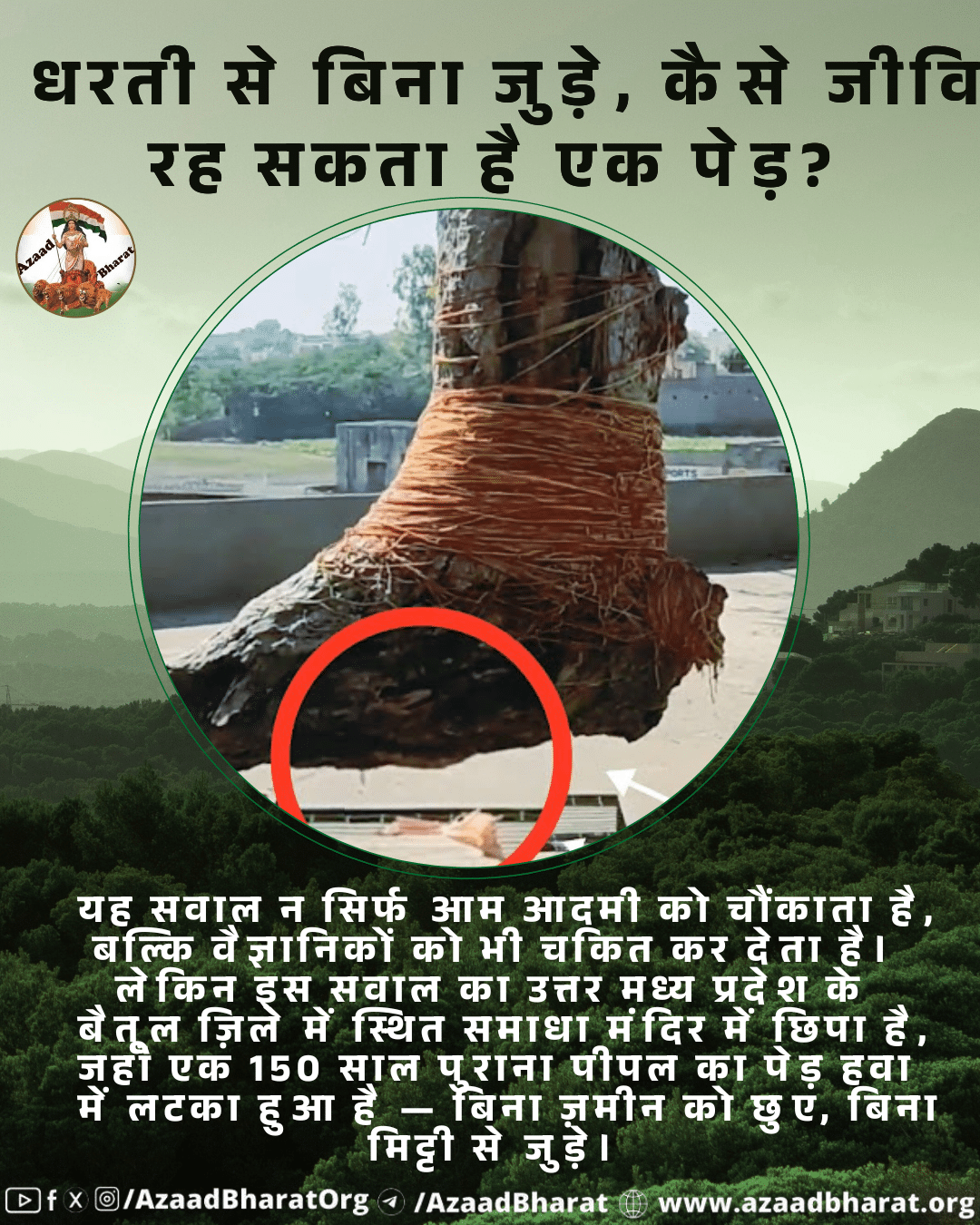 Floating Tree: समाधा मंदिर का रहस्य जो विज्ञान को चकित करे - Azaadbharat