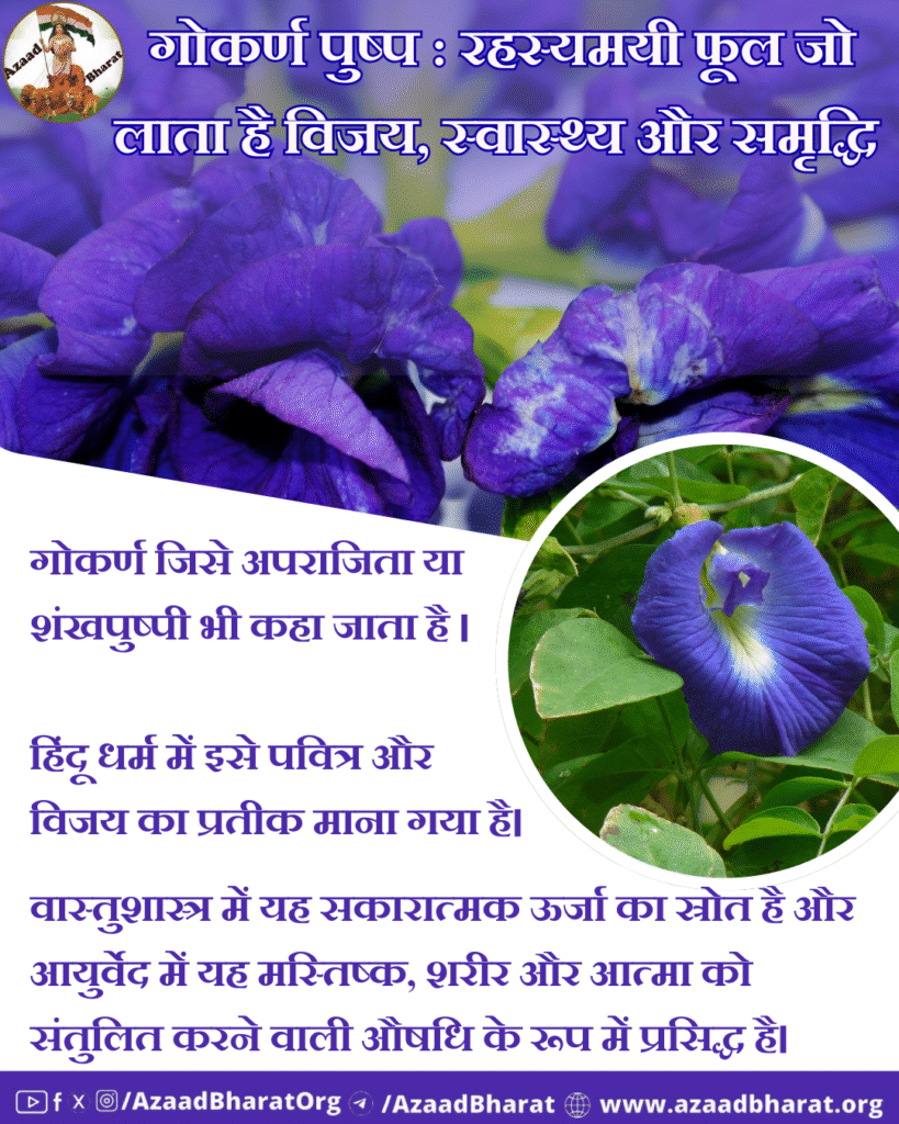 गोकर्ण (Gokarna) : विजय, स्वास्थ्य और समृद्धि के चमत्कारी गुण - Azaadbharat